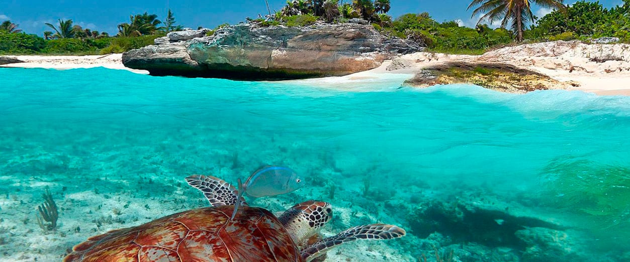 Descubre las maravillas naturales de Quintana Roo